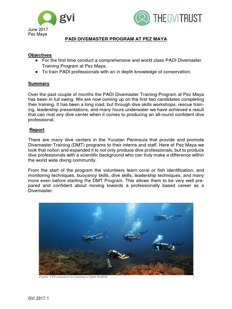 Monthly Achievement Report Pez Maya June 2017 | PDF | Scuba Diving ...