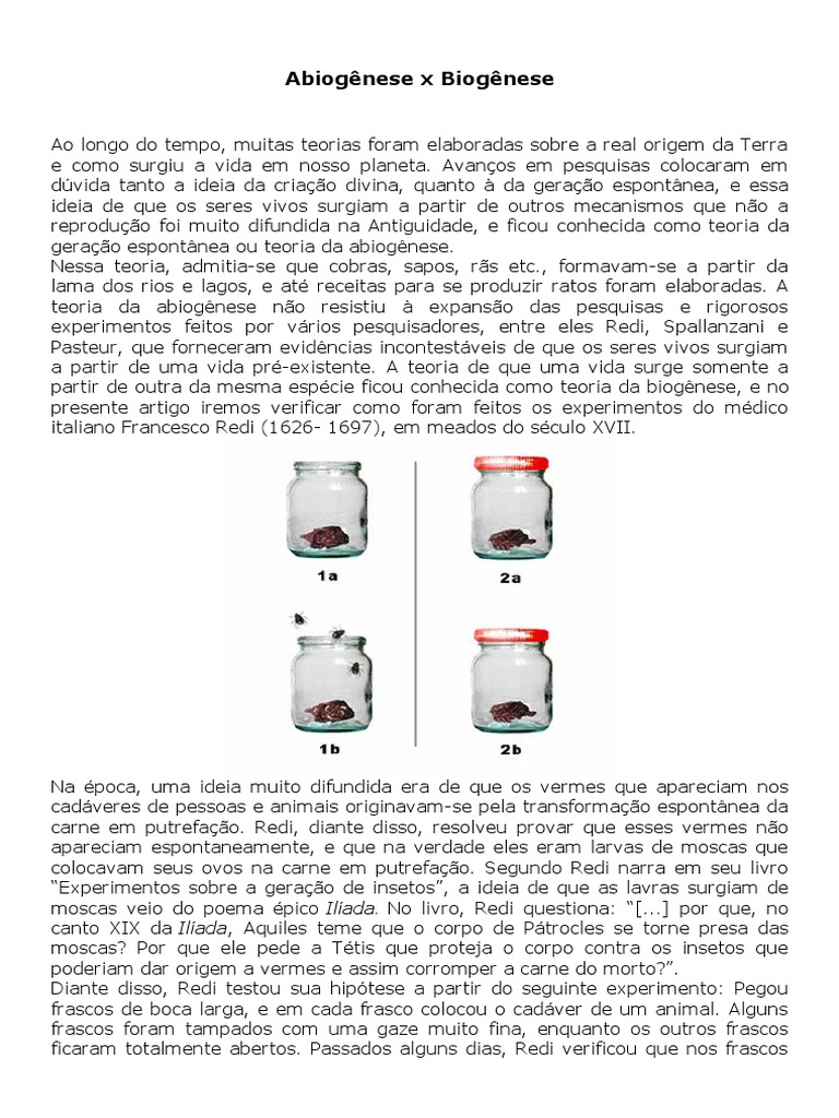 Abiogênese X Biogênese | PDF | Abiogênese | Criacionismo
