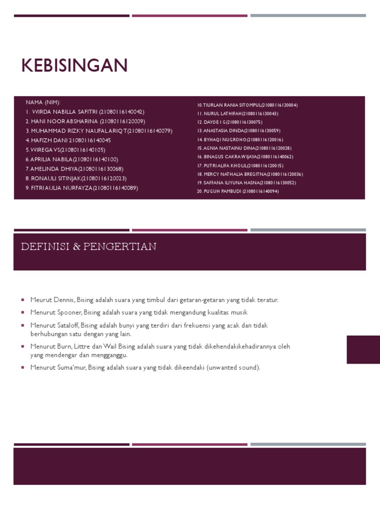 Kebisingan Kel.1 | PDF | Seni