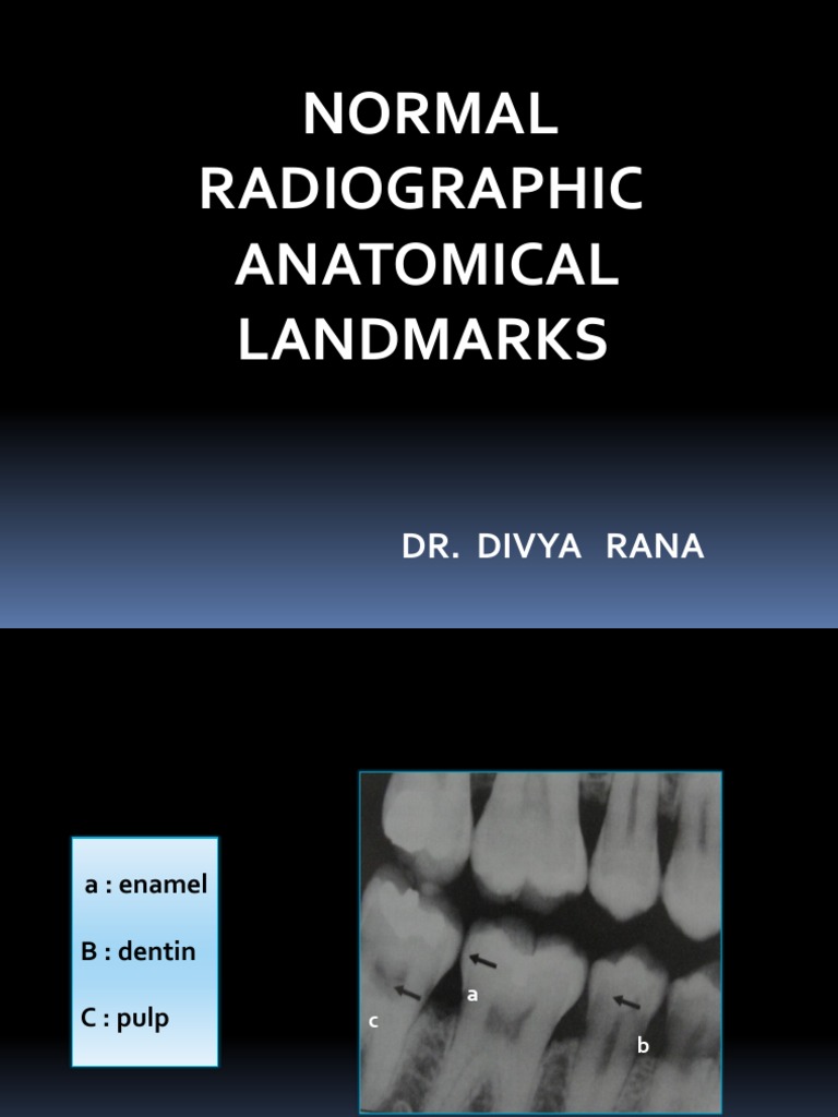 Normal Anatomical Landmarks | PDF | Skeletal System | Animal Anatomy