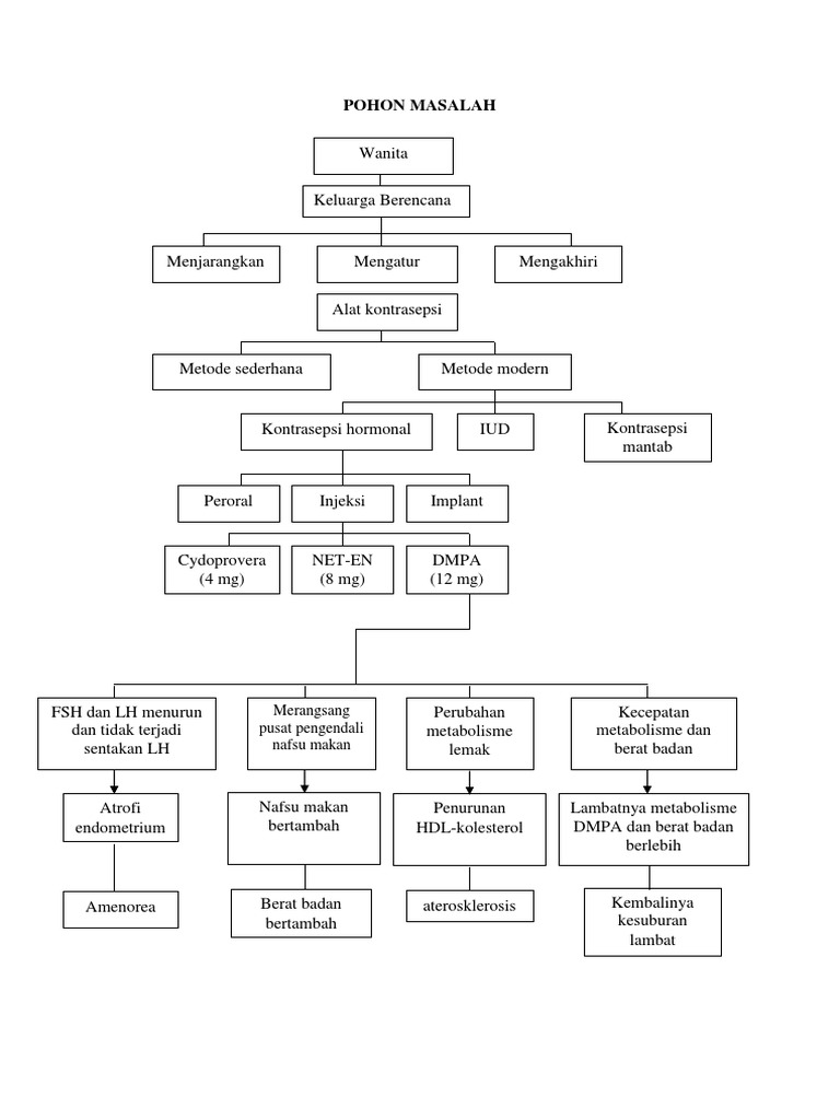 POHON MASALAH KB Suntik 3 Bulan | PDF