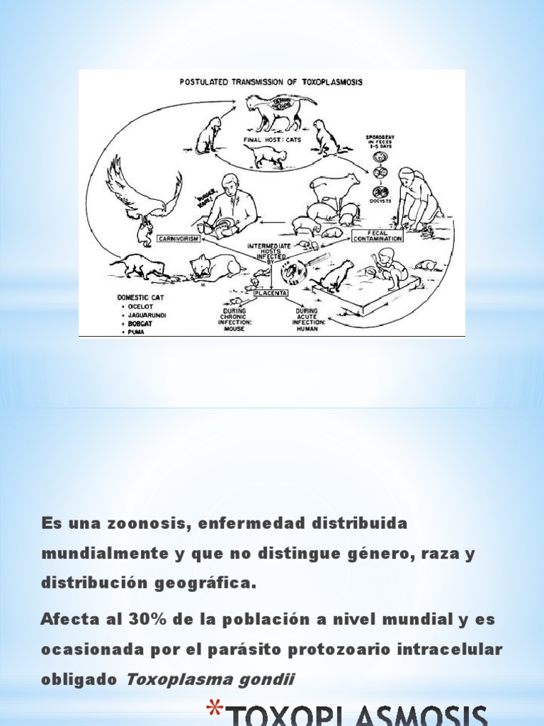 Tema 17 Toxoplasmosis | Enfermedades y trastornos | Ciencias de la Salud | Prueba gratuita de 30 ...
