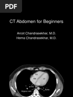 Normal CT Chest | PDF | Ct Scan | Diseases And Disorders