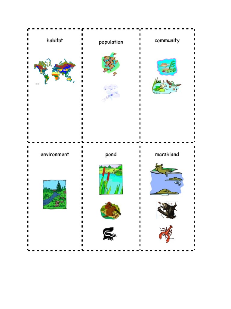 Good Flash Cards - Habitat Flashcards | PDF | Habitat | Trees