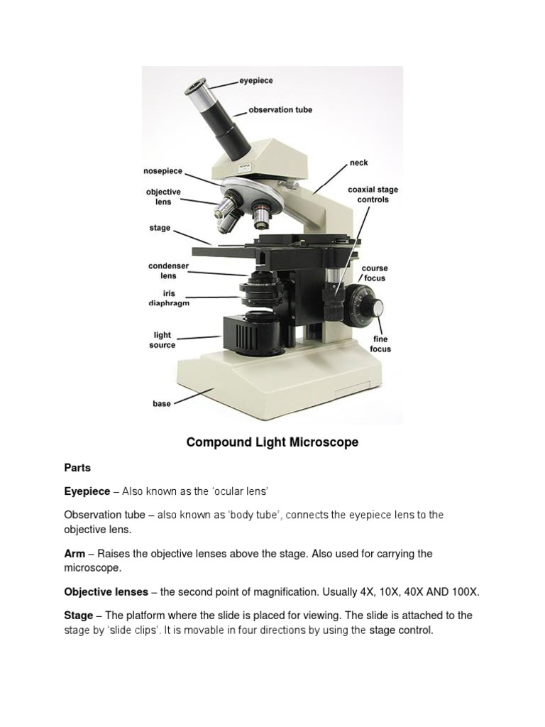 Compound Light Microscope: Parts Eyepiece | PDF | Electron Microscope ...