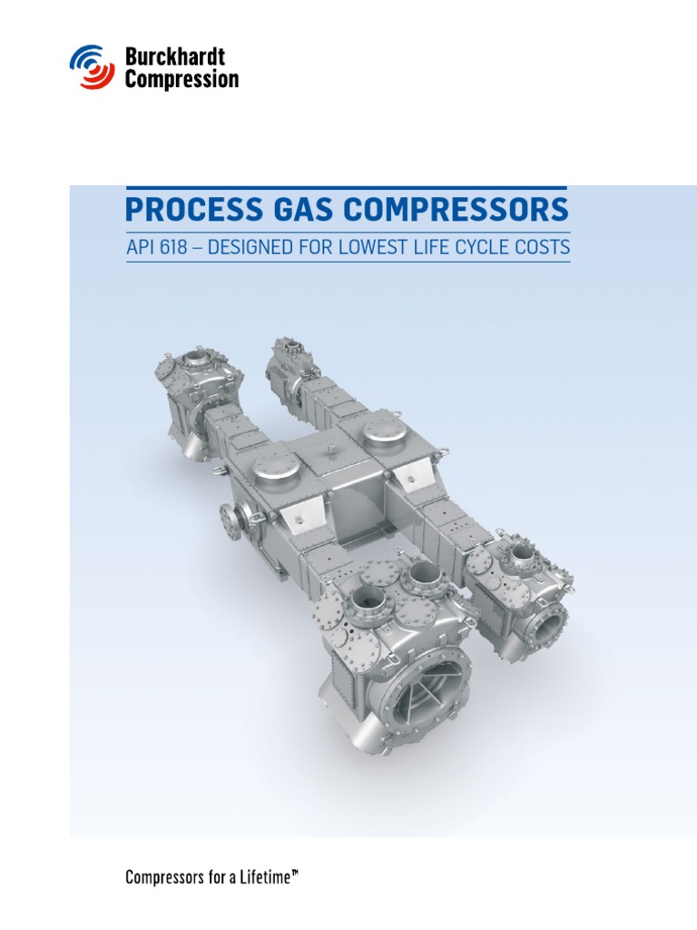 Process Gas Compressors | PDF | Gas Compressor | Natural Gas