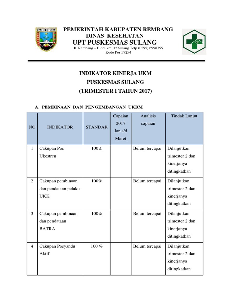 TL Analisis Capaian Kinerja UKM | PDF