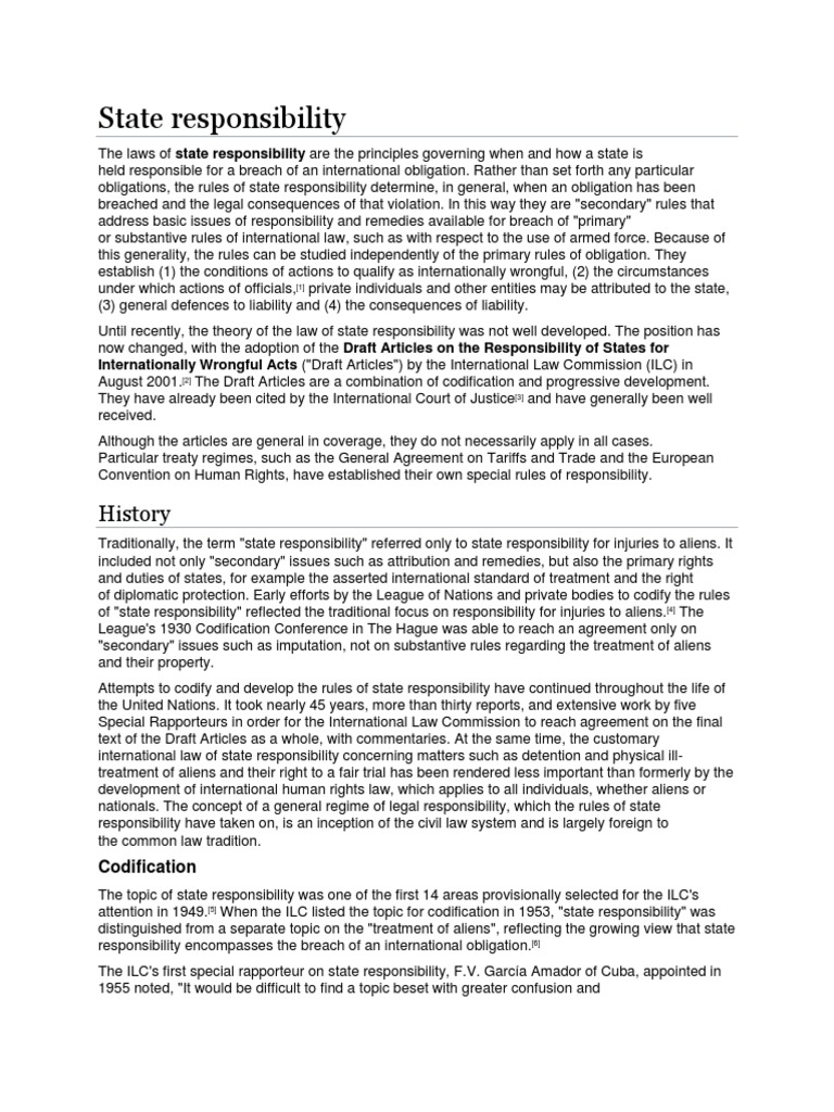 State Responsibility: History | PDF | Cultural Globalization | Common Law