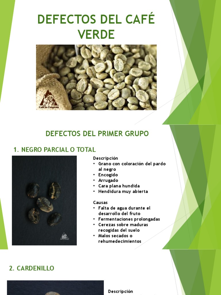 Defectos del café verde y sus causas | PDF | café | Alimentos