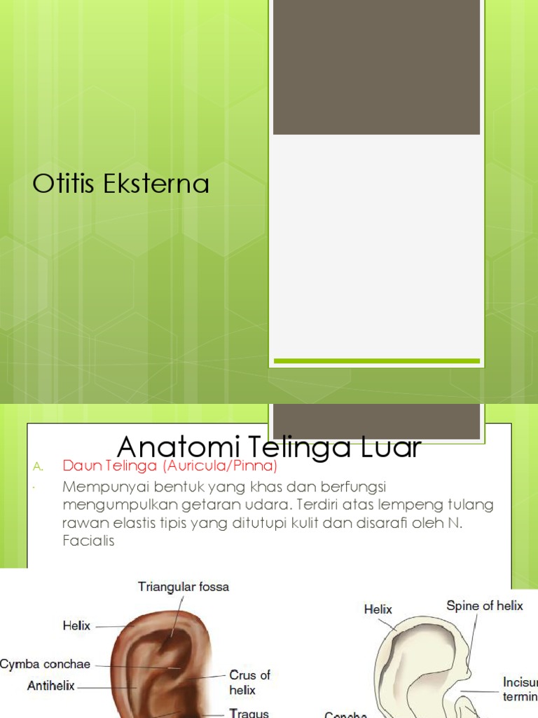 Otitis Eksterna: Patogenesis dan Tatalaksana Peradangan Liang Telinga ...