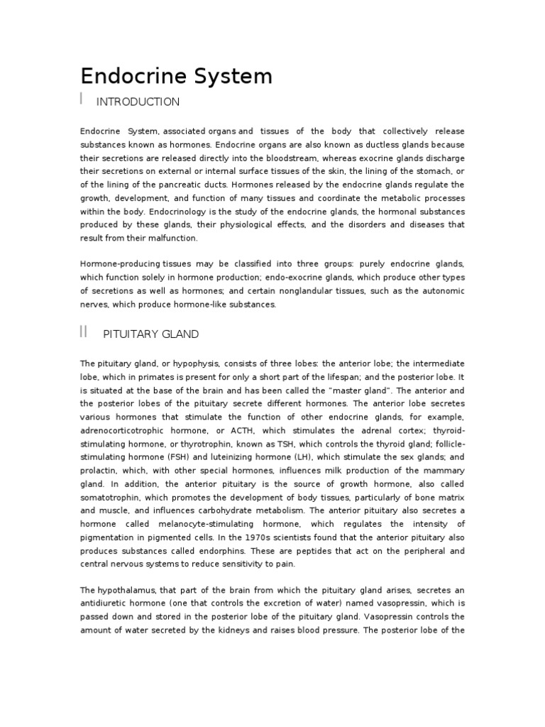 Endocrine System | PDF | Menstrual Cycle | Endocrine System