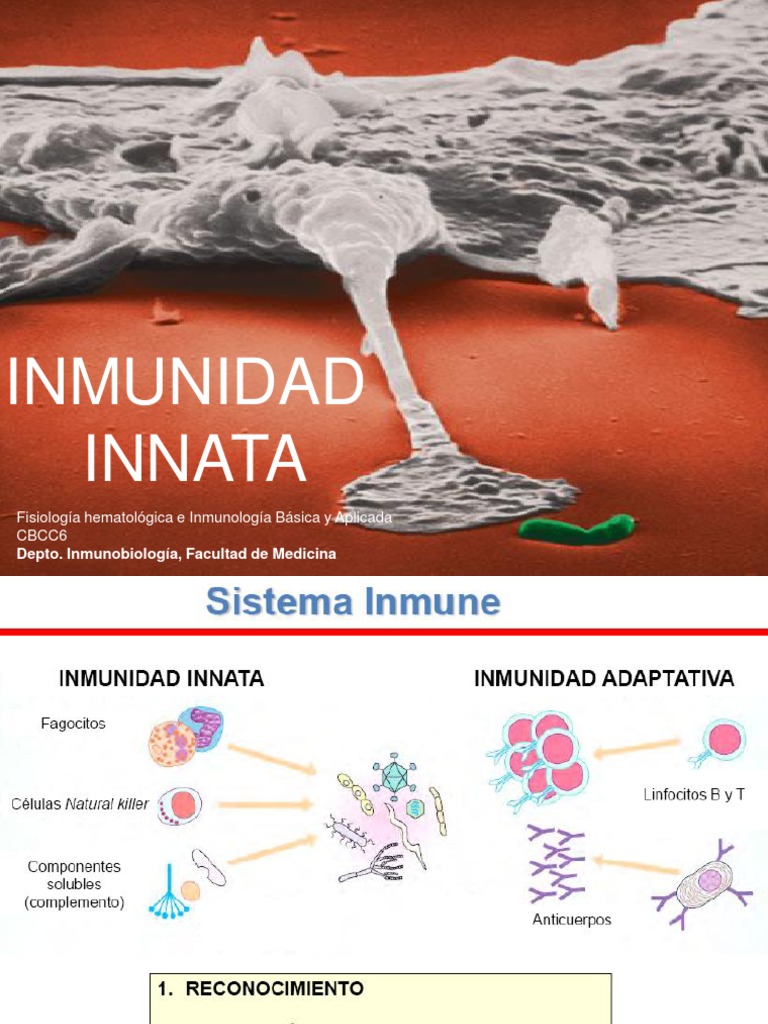Inmunidad Innata I 2017 | Sistema complementario | Sistema inmune innato