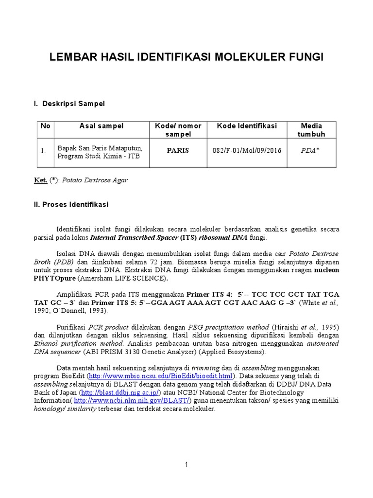 Identifikasi Molekuler Fungi Colletotrichum | PDF