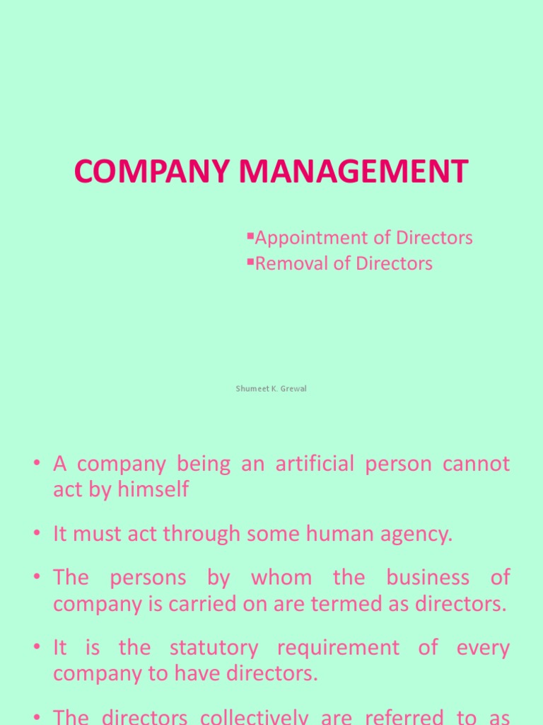 An Overview of Company Director Appointment Processes and ...