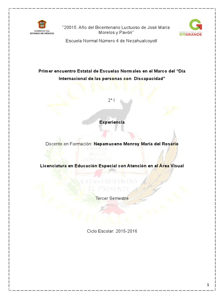 Ensayo Chayo | PDF | Educación especial | Educación primaria