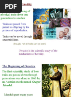 Pigeonetics Game Teacher Guide | PDF | Dominance (Genetics) | Allele