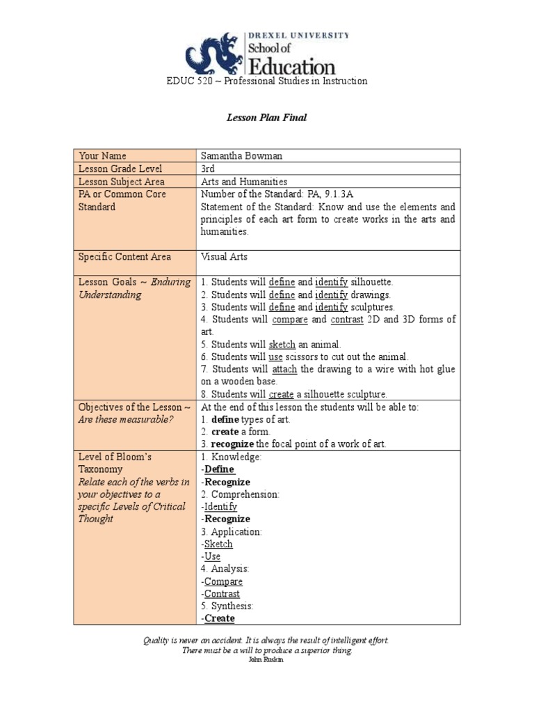 Lesson Plan Final 2 | PDF | Lesson Plan | Drawing