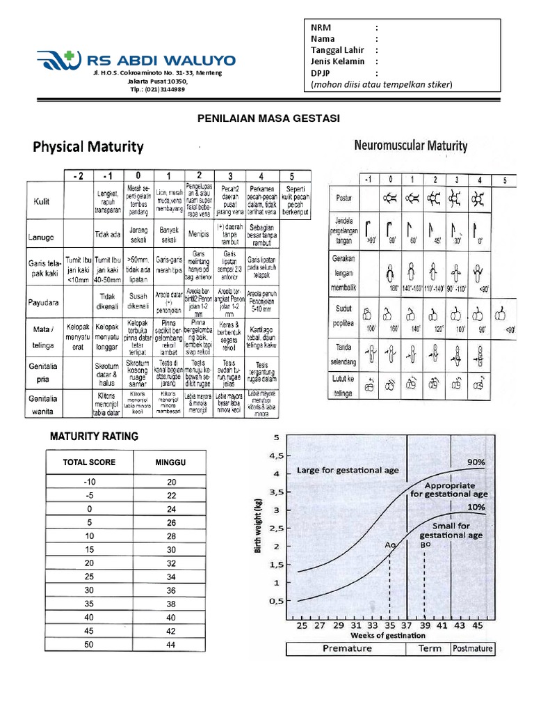 Penilaian Masa Gestasi | PDF