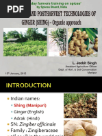 Rootmaker: The Original Root-Pruning Container System | PDF | Root | Trees