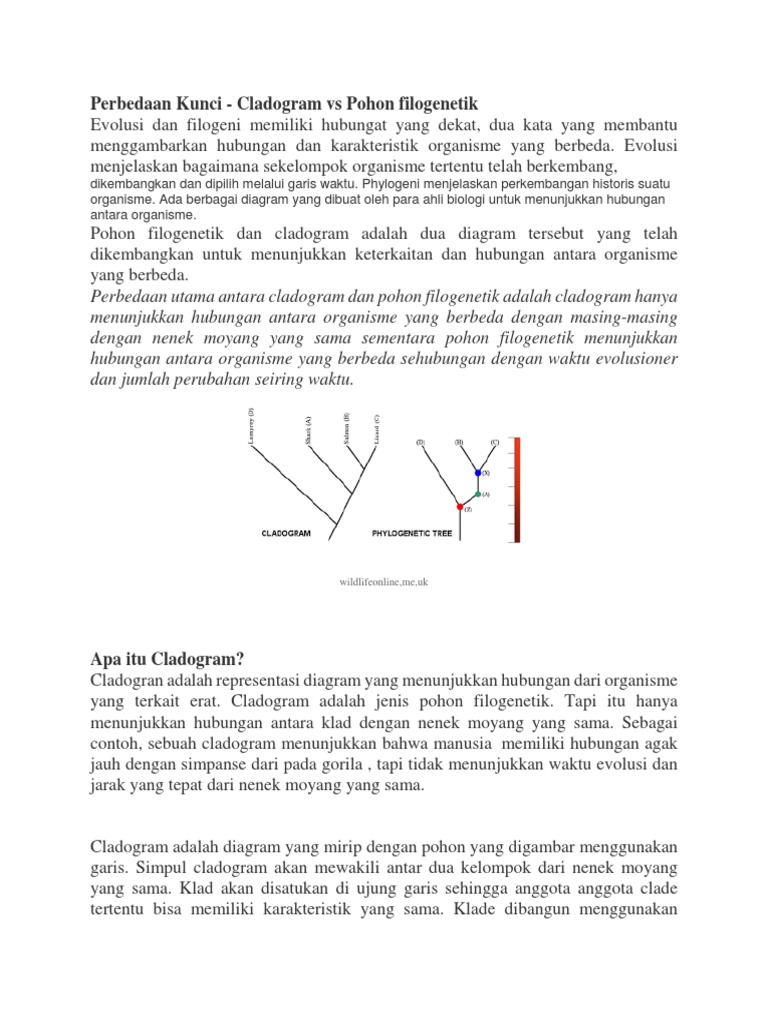 Perbedaan Cladogram dan Pohon Filogenetik | PDF | Ilmu Sosial