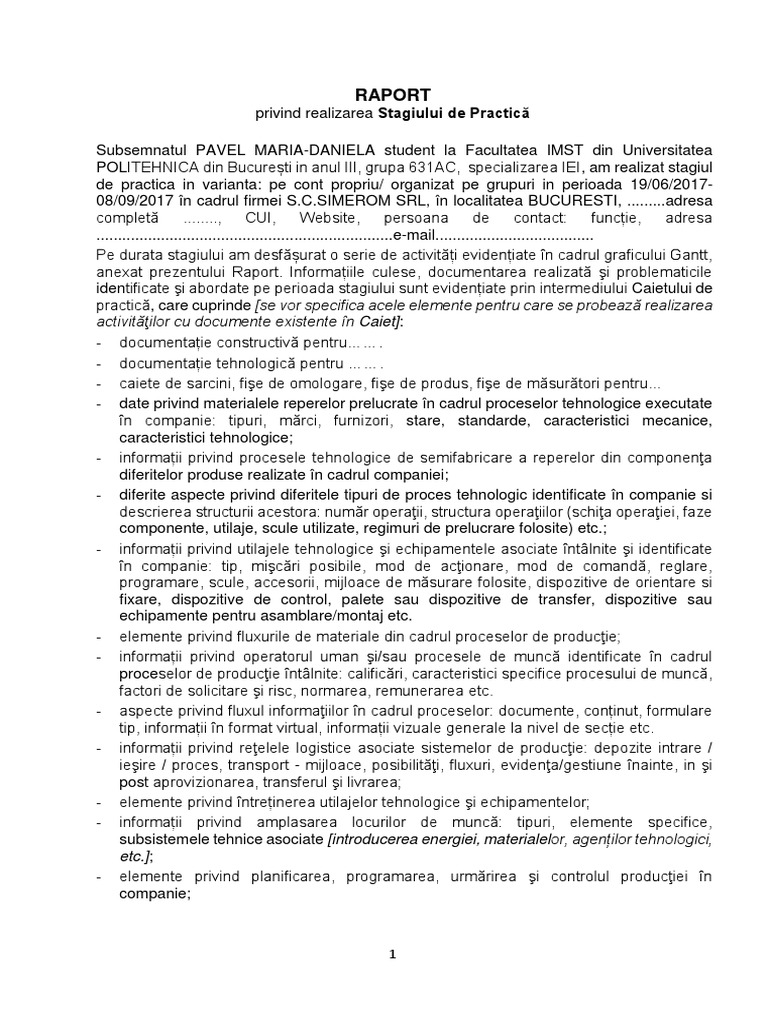 Raport de Practica Stagiu Anul III | PDF