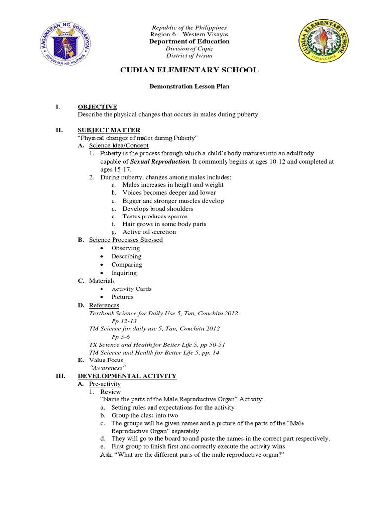 Demo Lesson Plan (Puberty) | PDF | Puberty | Lesson Plan