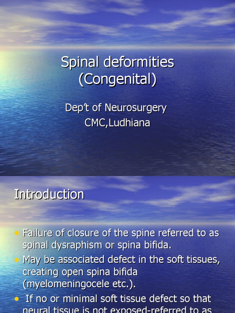 Spinal Deformities (Congenital) | PDF | Vertebral Column | Spinal Cord
