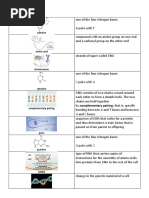SNC2D Biology Exam Review Guide | PDF | Cell (Biology) | Cancer