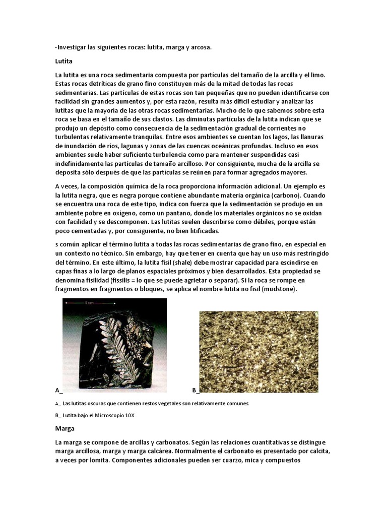 Rocas Lutita Marga Arcosa | PDF | Roca (geología) | Sedimentología