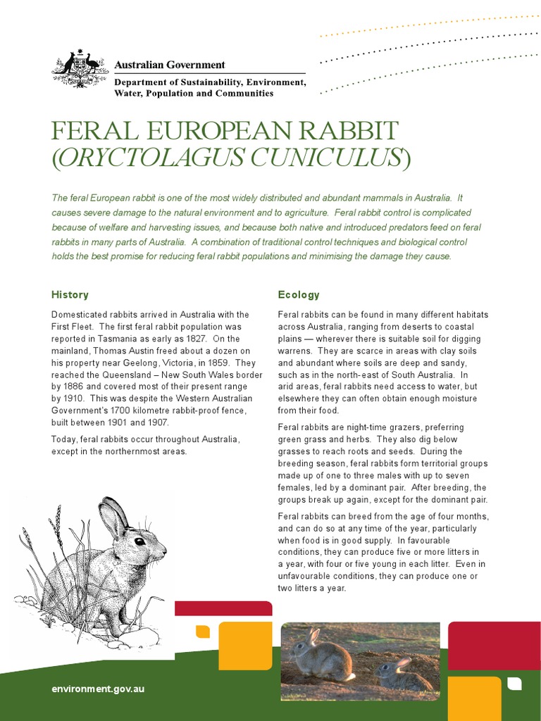 Rabbit | PDF | Australia | Biological Pest Control