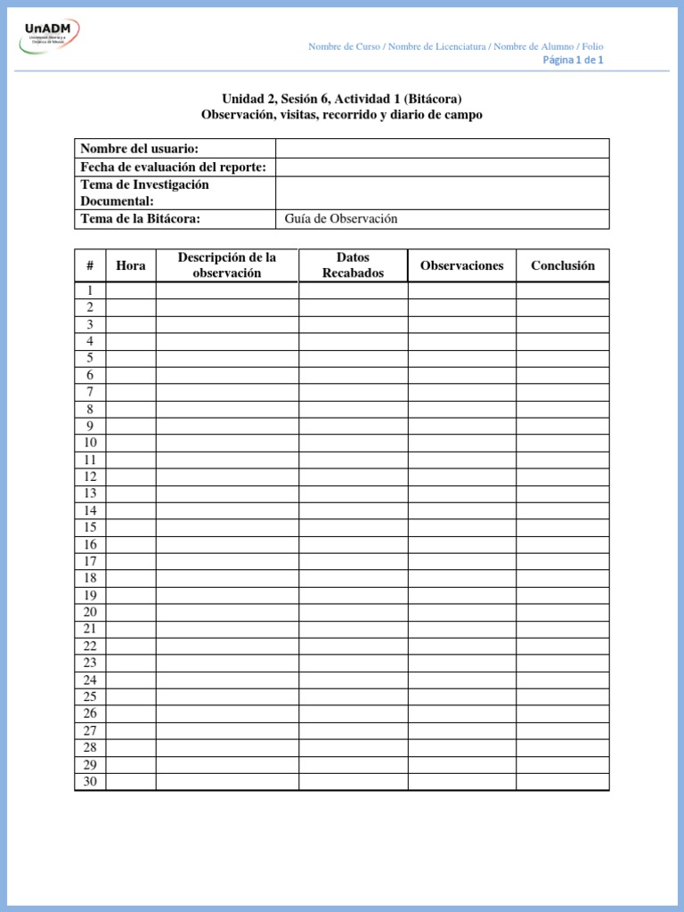 Formato de Bitácora de Observación | PDF