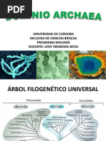 Ejemplos de Dominio Archea | Archaea (Arqueas) | Microorganismo