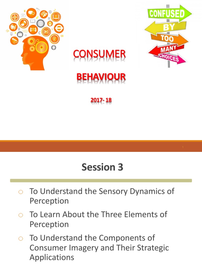 CB Perception | Download Free PDF | Stimulus (Physiology) | Perception