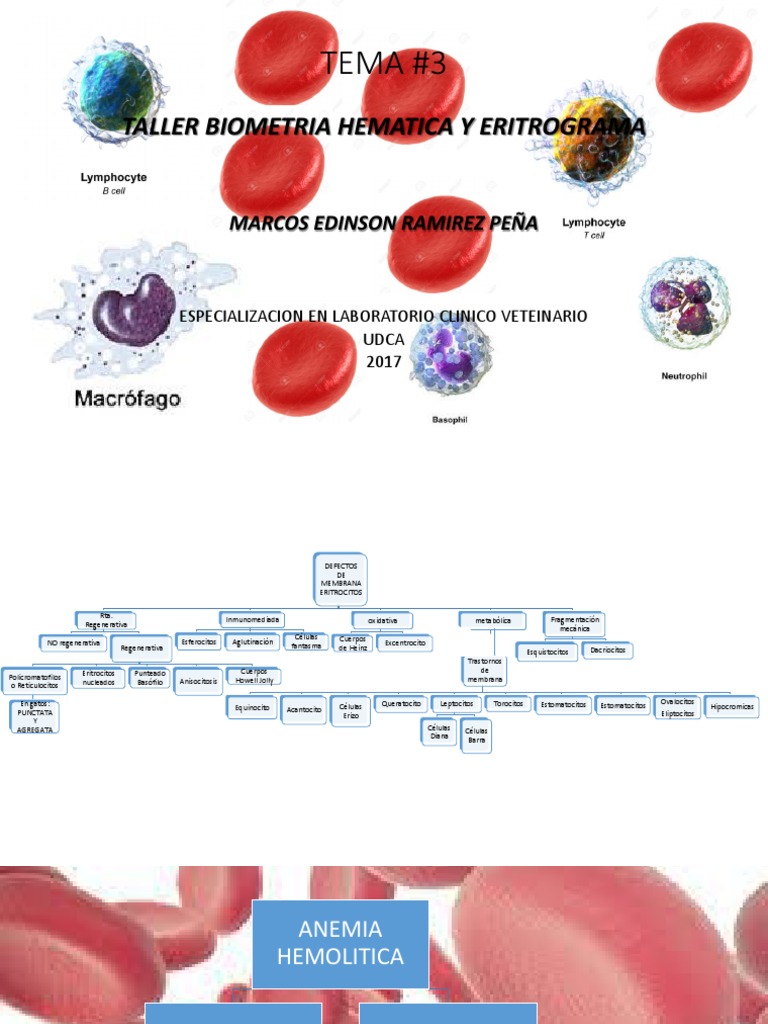 BIOMETRIA HEMATICA Y HERITOGRAMA