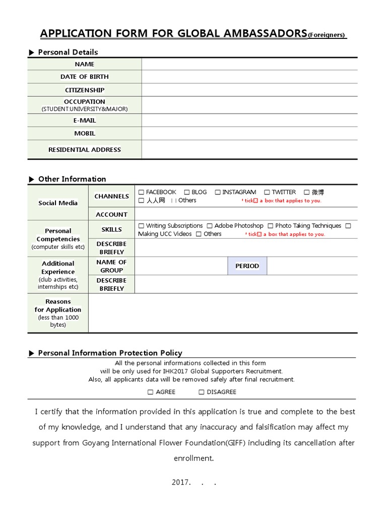 Application Form For Global Ambassadors: Personal Details | PDF