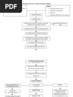 Anemia Concept Map | PDF | Anemia | Red Blood Cell