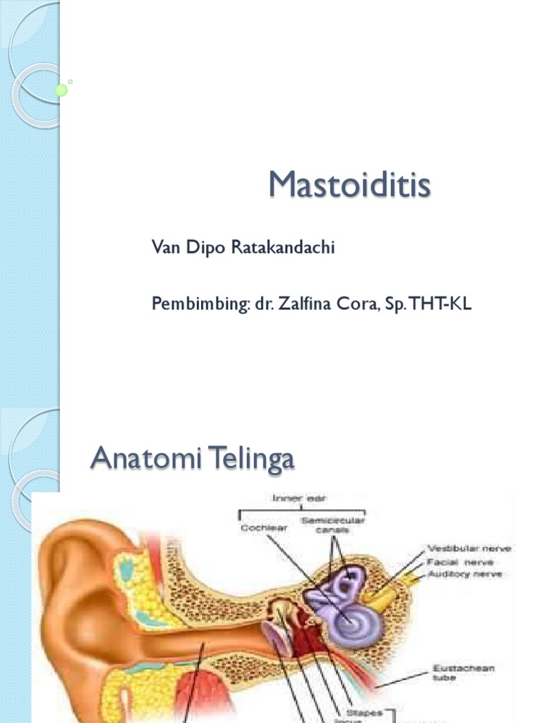 Mastoiditis: Definisi dan Patofisiologi | PDF | Ilmu Sosial | Kesehatan ...