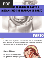 Maniobra de Ritgen | PDF | Parto | Reproducción