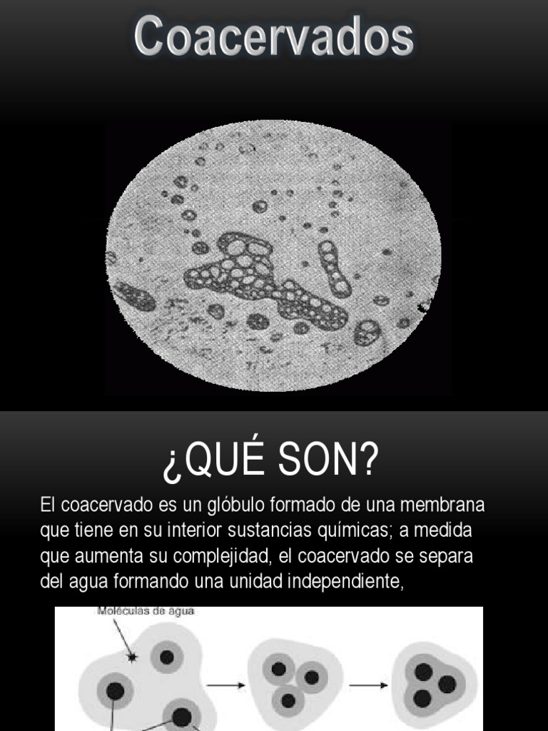 Coacervados | PDF