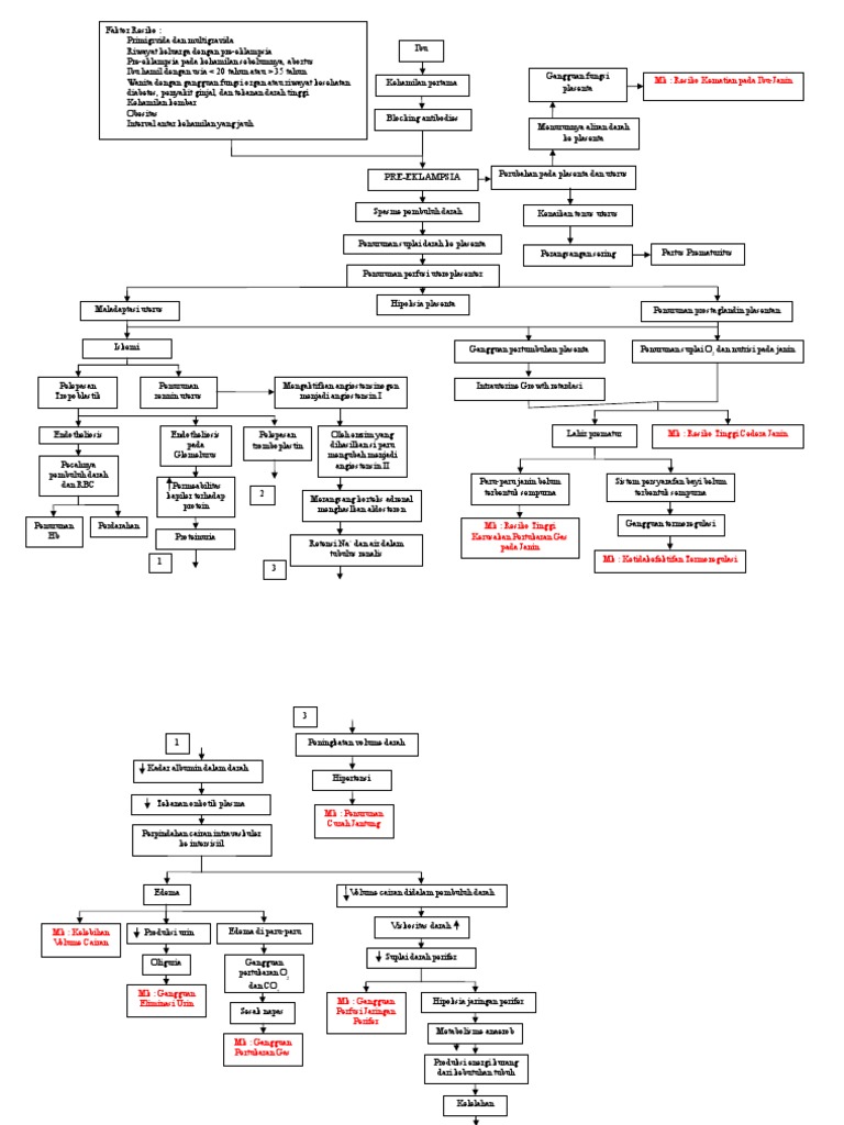 Woc Preeklampsia | PDF