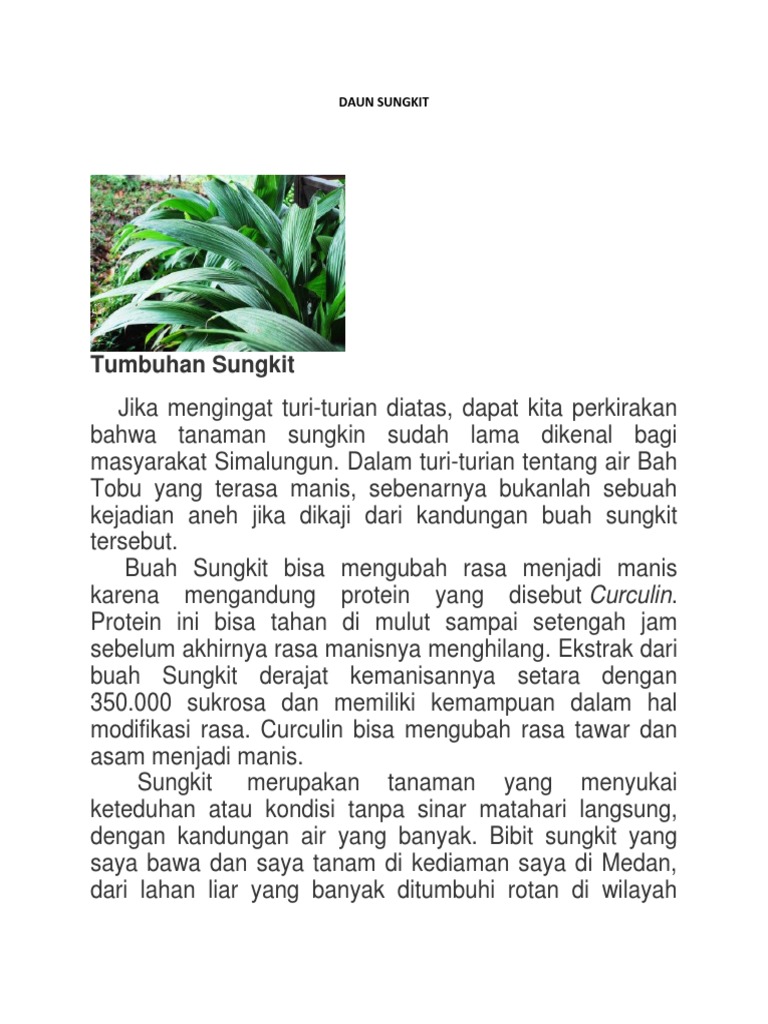 Daun Sungkit | PDF | Griya & Taman | Kesehatan Holistik