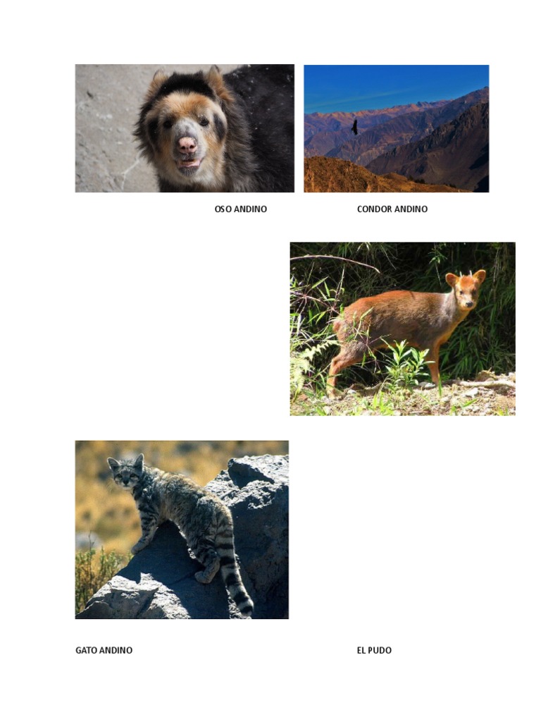 Animales en Extencion | PDF