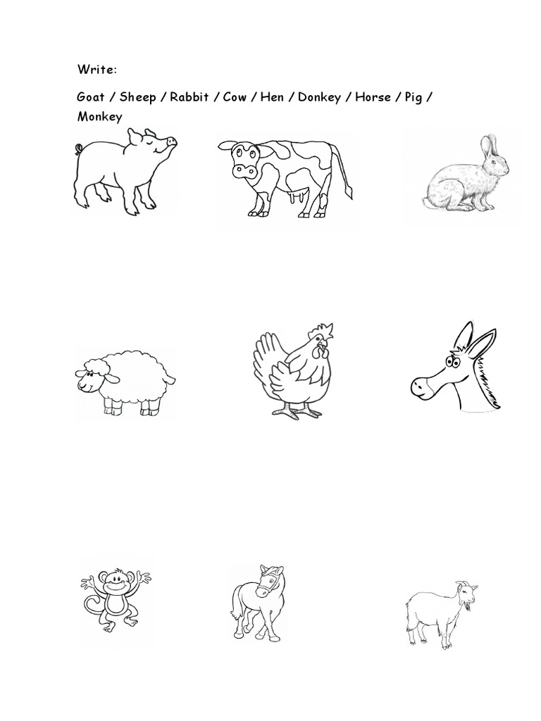 Write: Goat / Sheep / Rabbit / Cow / Hen / Donkey / Horse / Pig ...