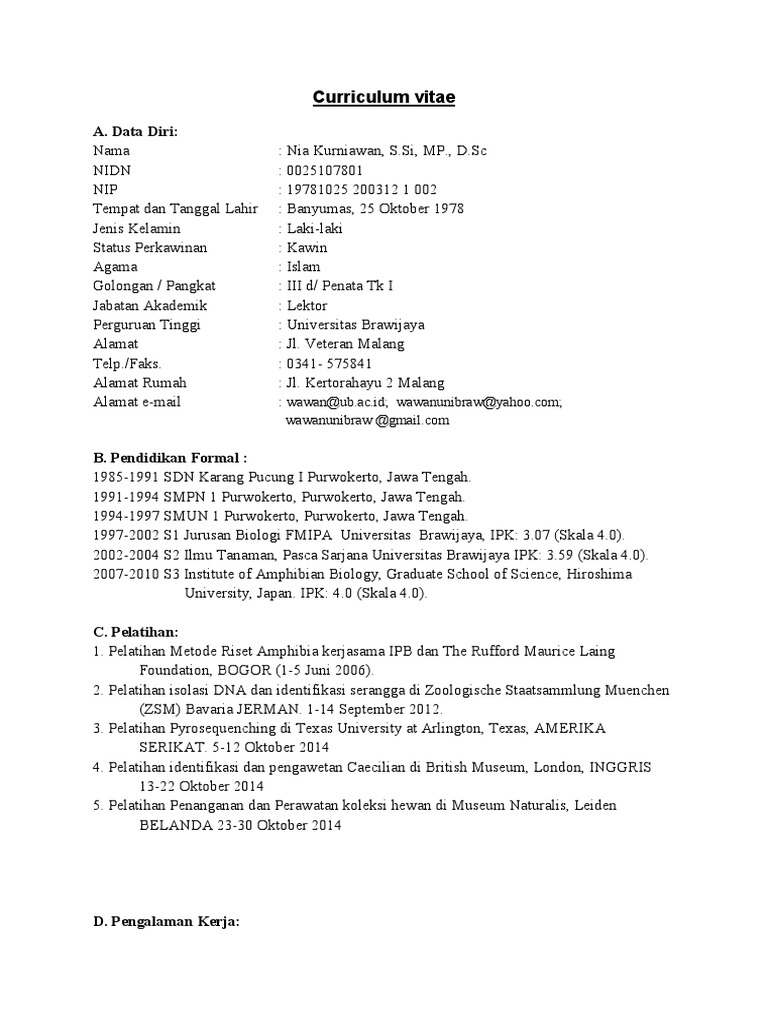 CV Nia Kurniawan 2016 | PDF