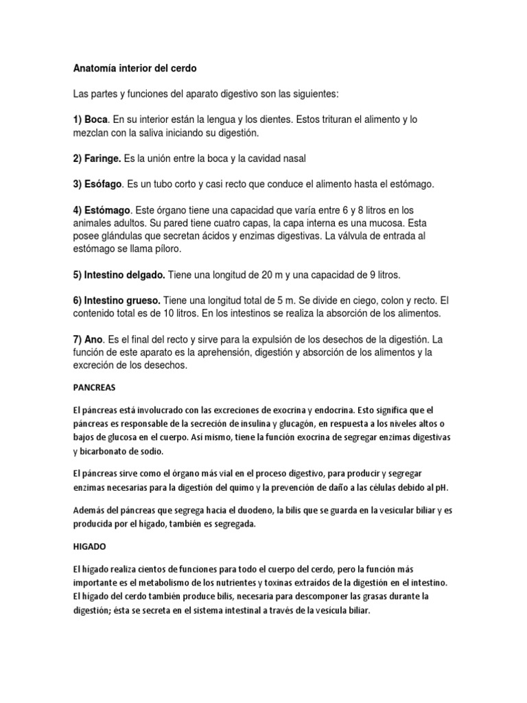 Anatomía del aparato digestivo del cerdo | PDF | Digestión | Bilis