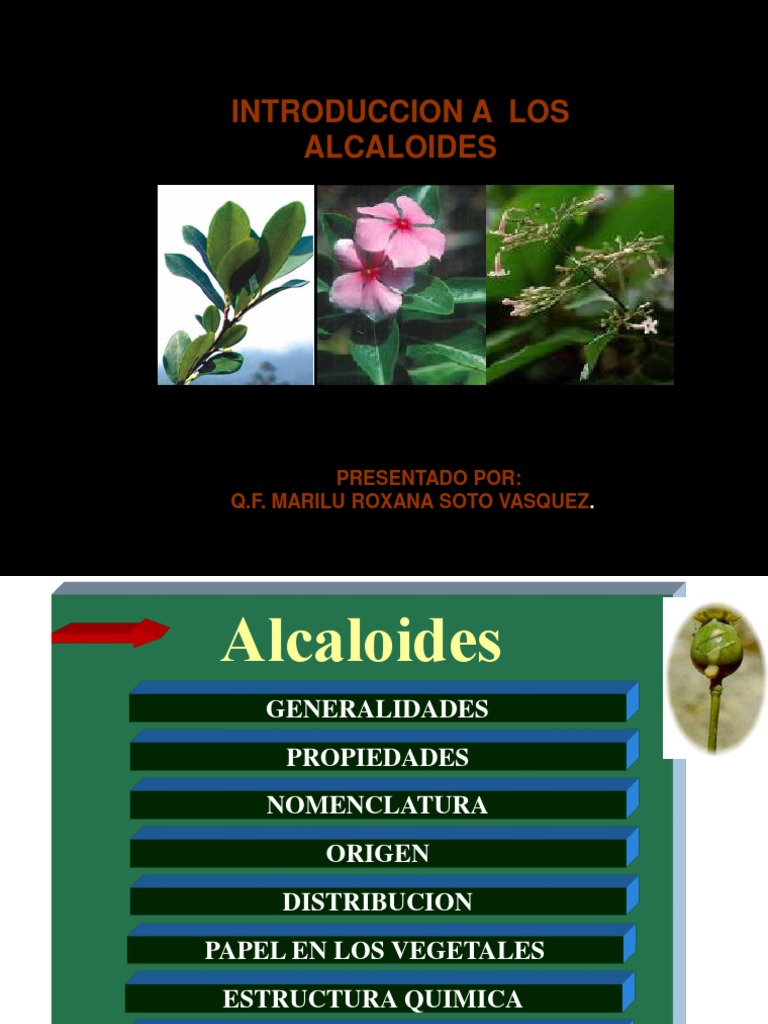 Introduccion A Los Alcaloides | PDF | Alcaloide | Sal (química)