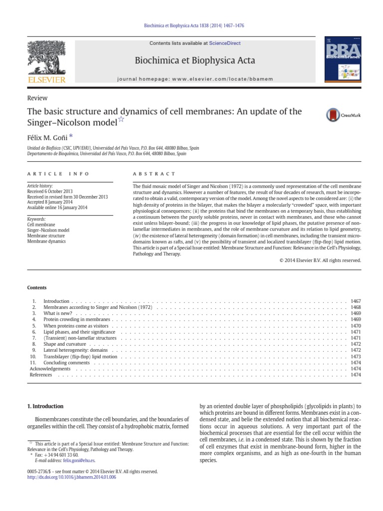 Model Fluid Mosaic Singer-Nicolson 2014 | PDF | Biological Membrane ...