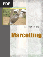 Marcotting: Propagation Guide for Plants | PDF | Horticulture | Botany