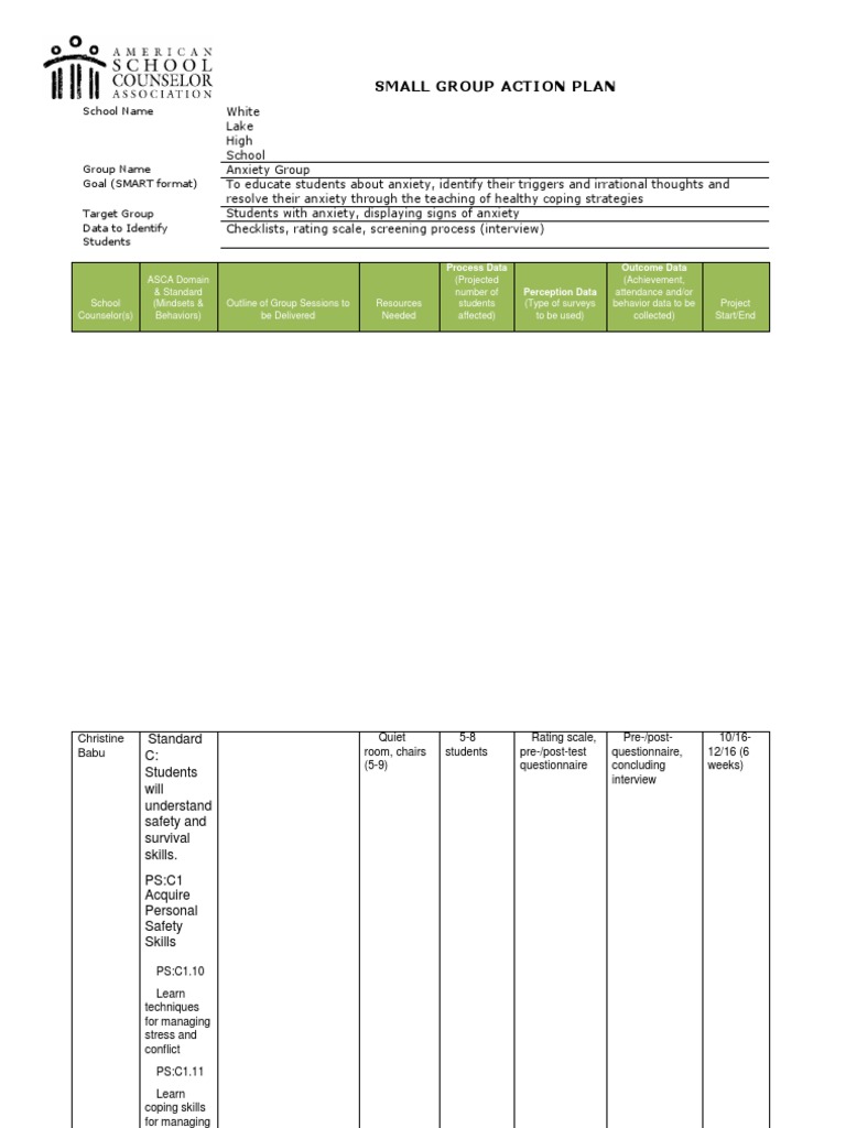 Small Group Action Plan: School Name | PDF
