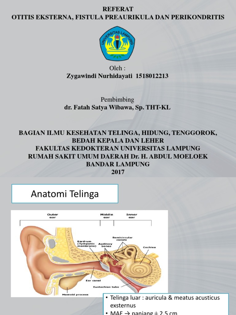 Otitis Eksterna | PDF